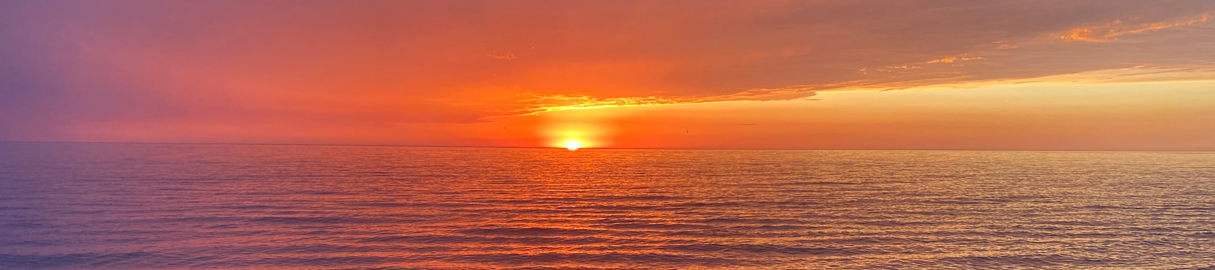 Maddy Costello's Amazon Page