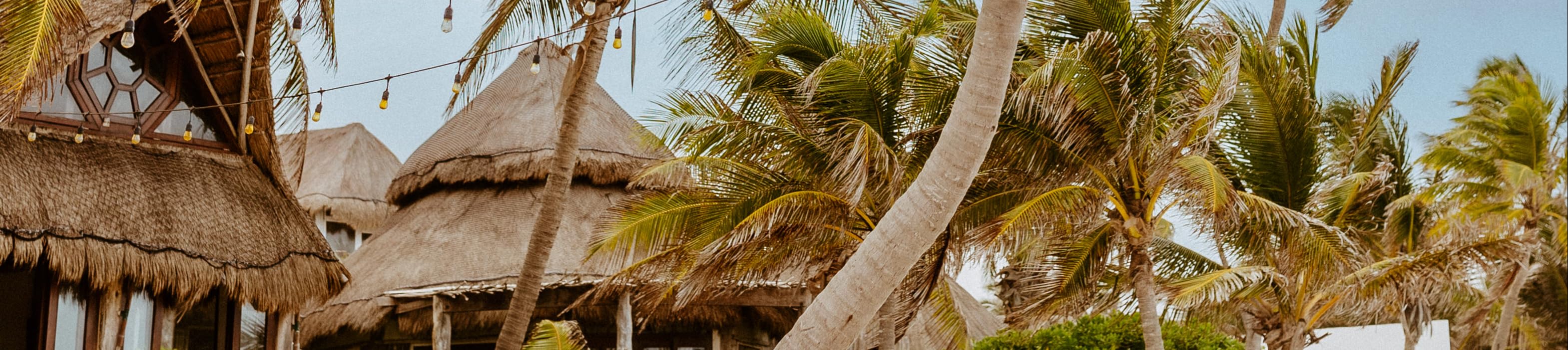 Madison Delaney's Amazon Page