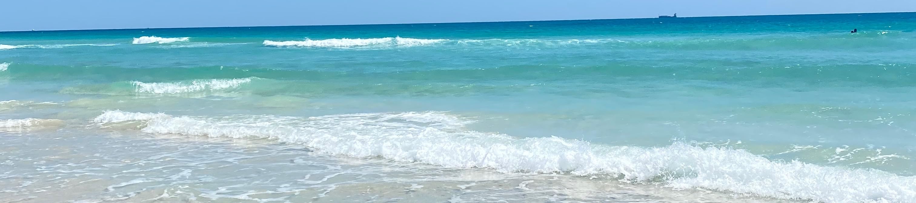 Leah Ripley's Amazon Page