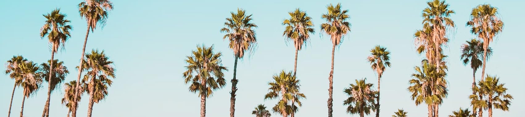 Meg Connolly's Amazon Page