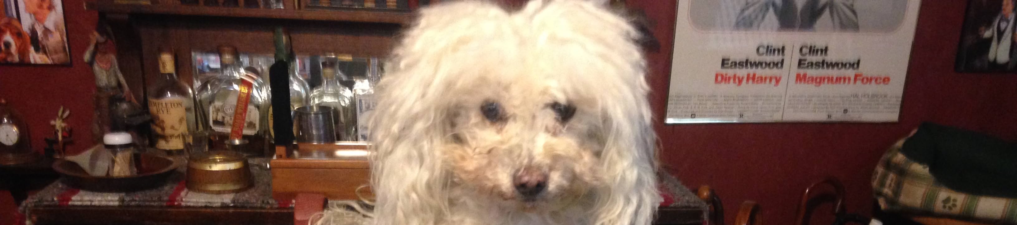 MrHolster's Amazon Page