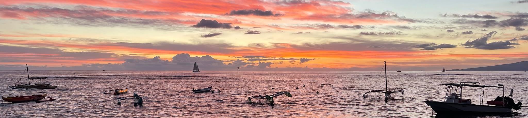 nora joy 🦋's Amazon Page