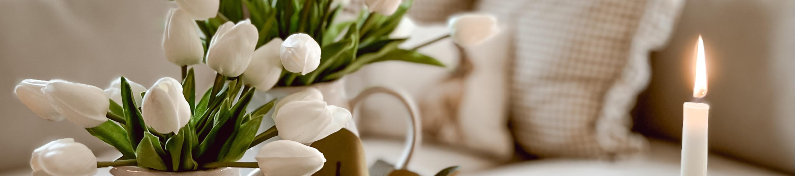 Our Cozy Little Home by Bryan Cosham's Amazon Page