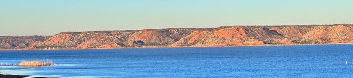 Pamela Pickering Madore's Amazon Page