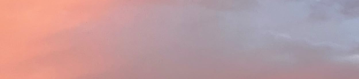 Peyton LoRocco's Amazon Page