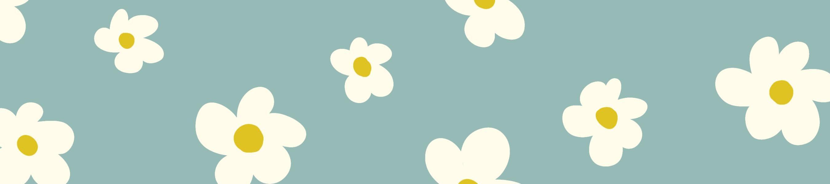 Rachel Sheppick's Amazon Page