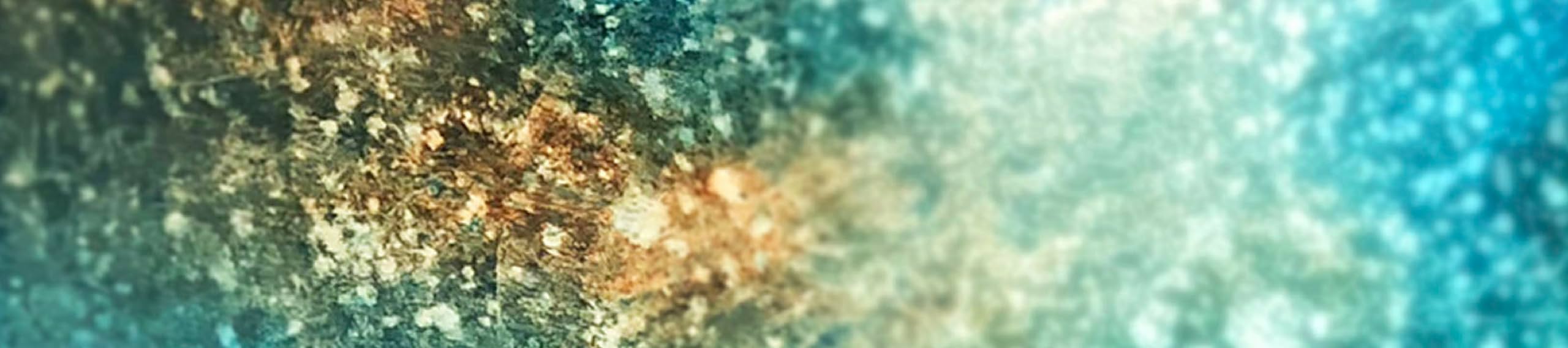 Ray Grimes Fine Art's Amazon Page