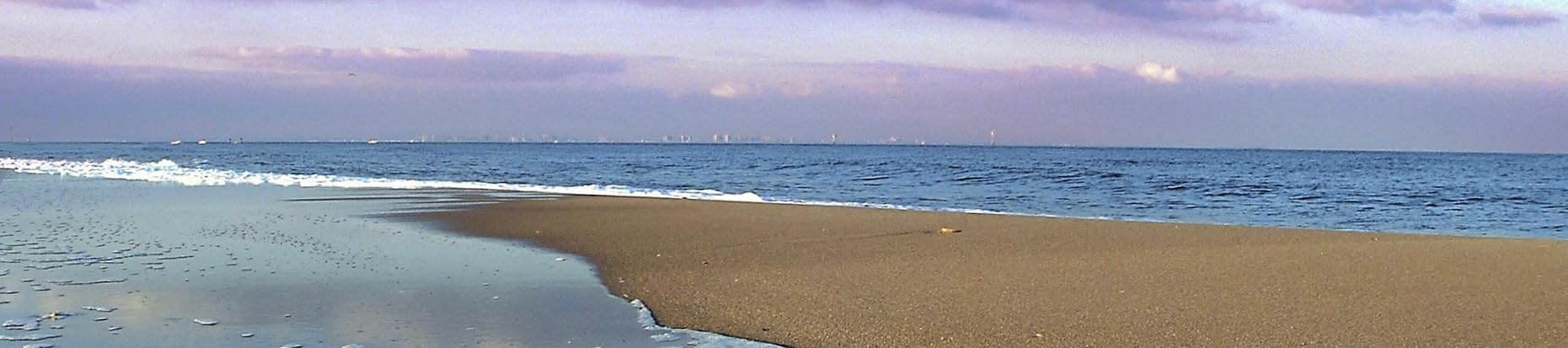 Carl Newberry's Amazon Page