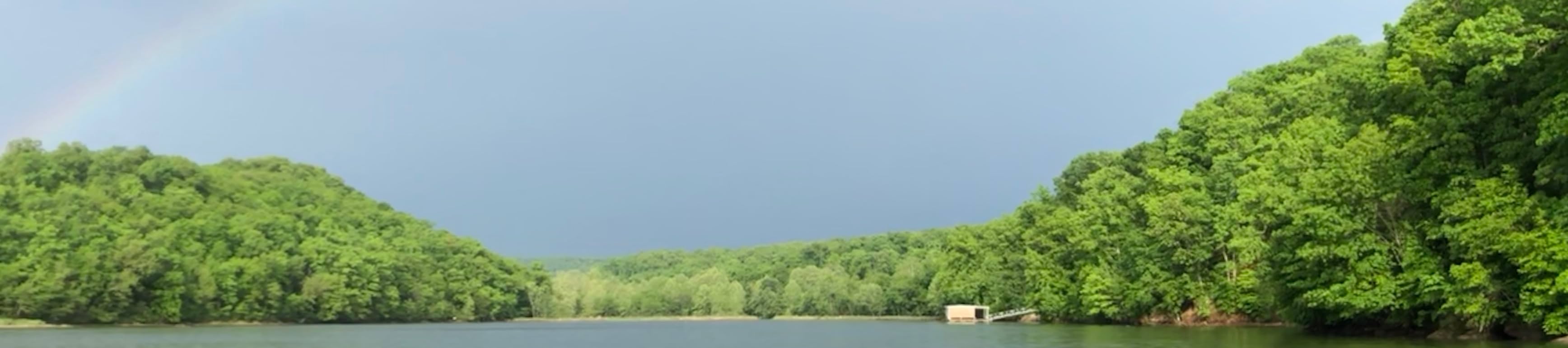 Rogue Dad, M.D.'s Amazon Page