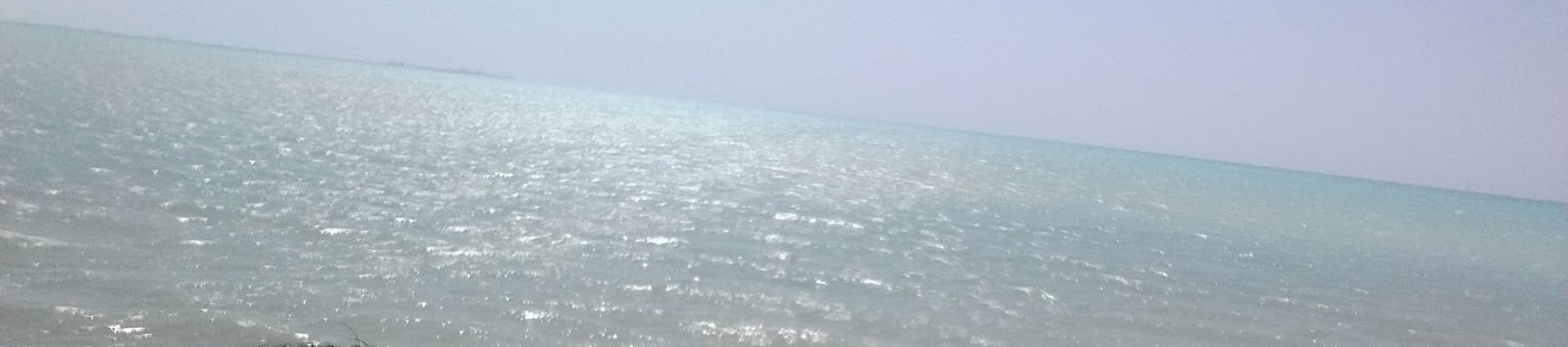 Shady Ghazy Channel's Amazon Page