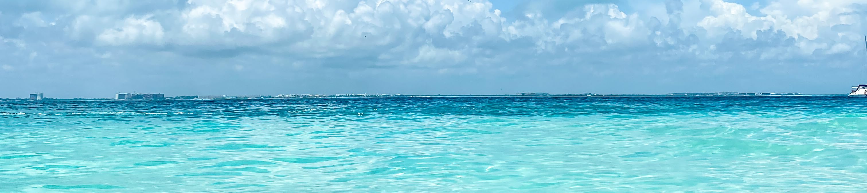 Sofi Bardaxis's Amazon Page