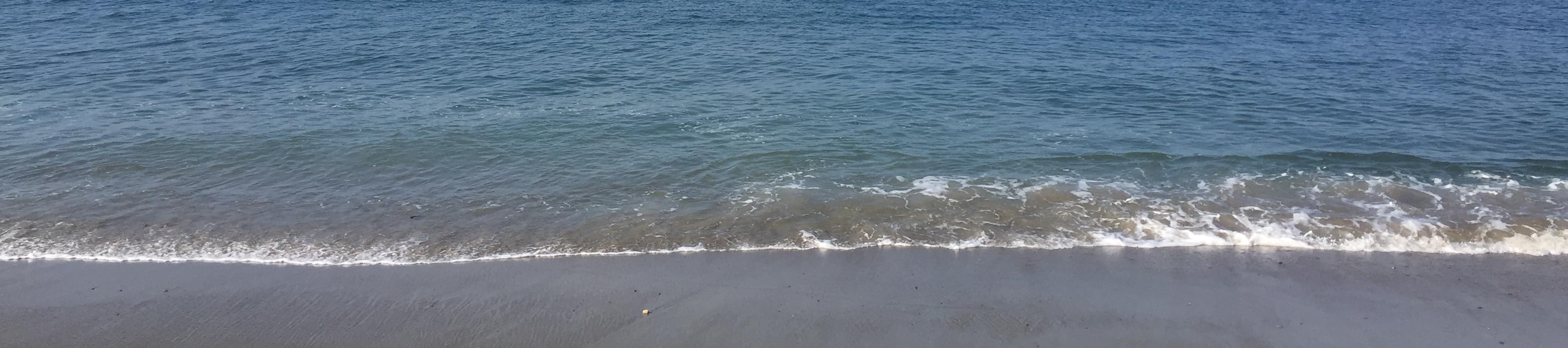 Steel Rhythm Steel Drum Band's Amazon Page