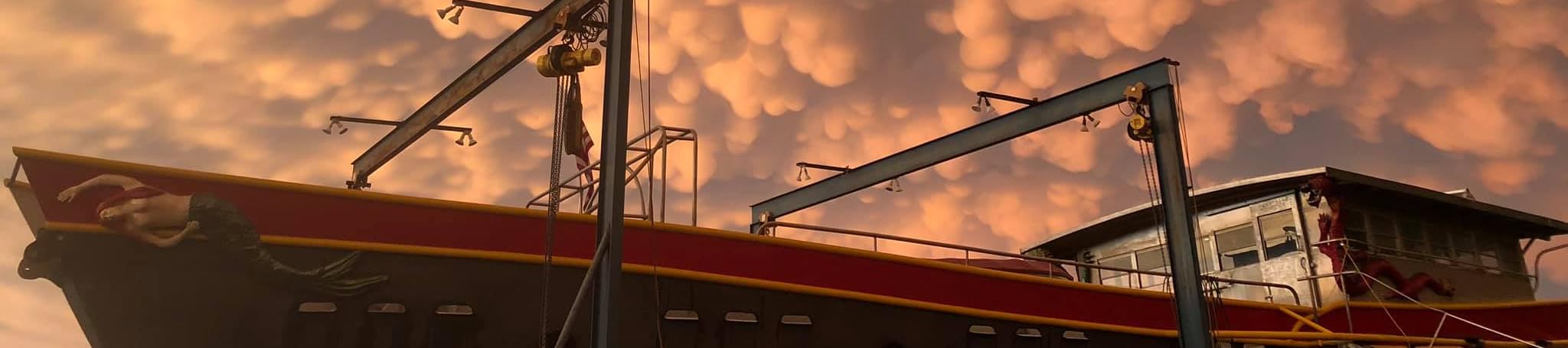 SVSeeker's Amazon Page