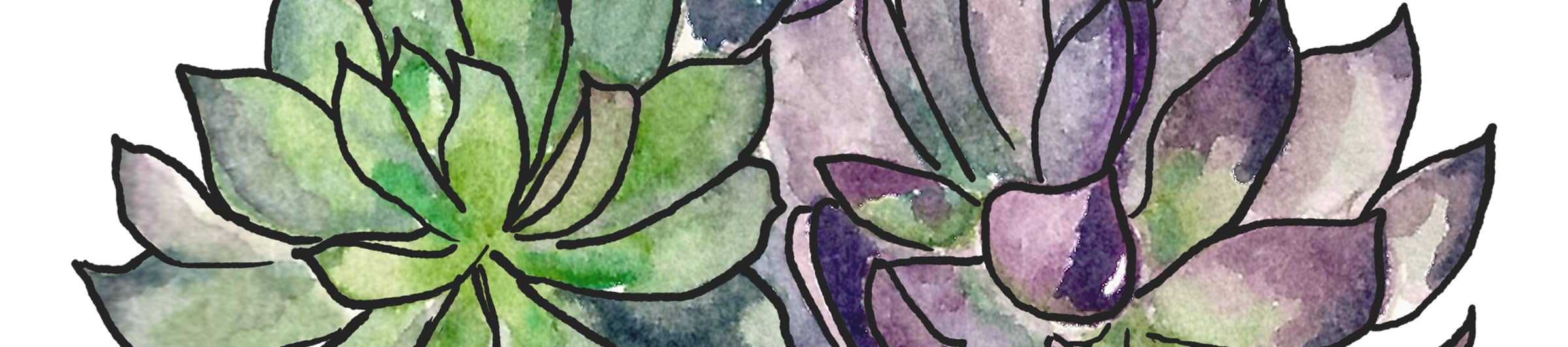 Taylor Elmore's Amazon Page