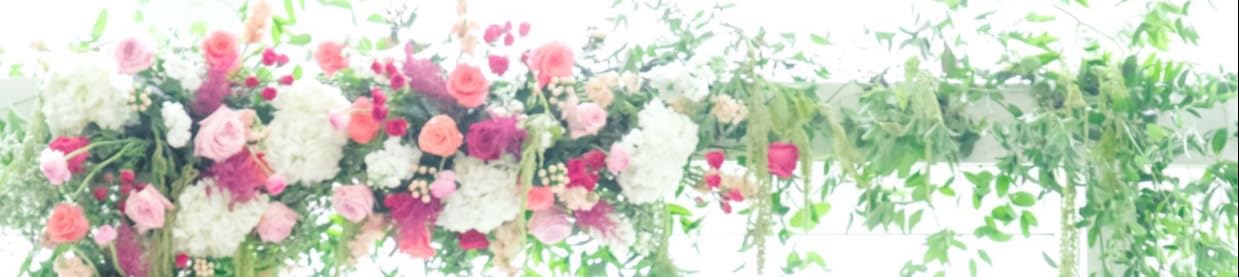 Taylor Alexis Silvey's Amazon Page