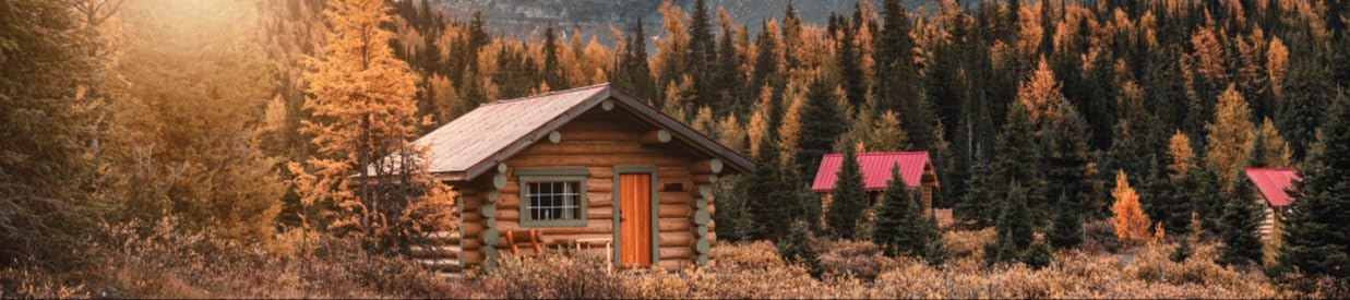 The Cabin Diary's Amazon Page