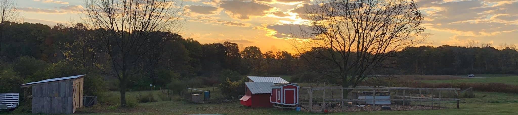 Dee Porter's Amazon Page