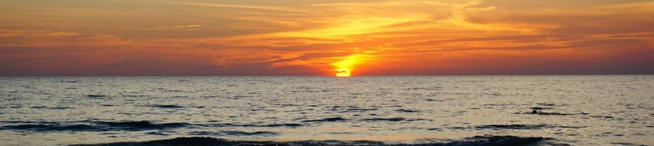 Gujee-New's Amazon Page