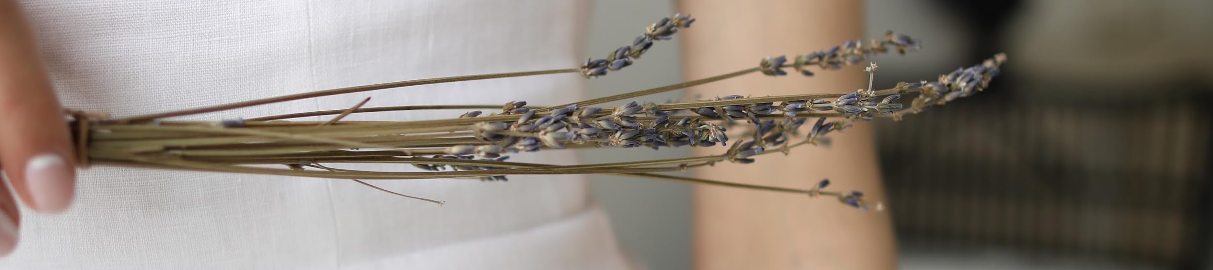 Valeriia Veksler's Amazon Page