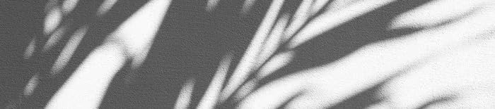 Veronica Ylv's Amazon Page