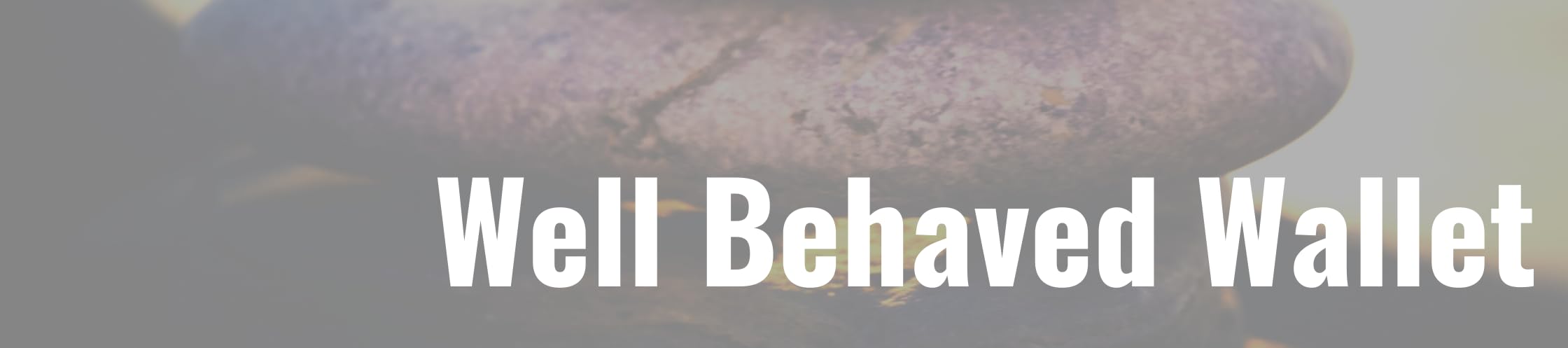 Well Behaved Wallet Recommends's Amazon Page