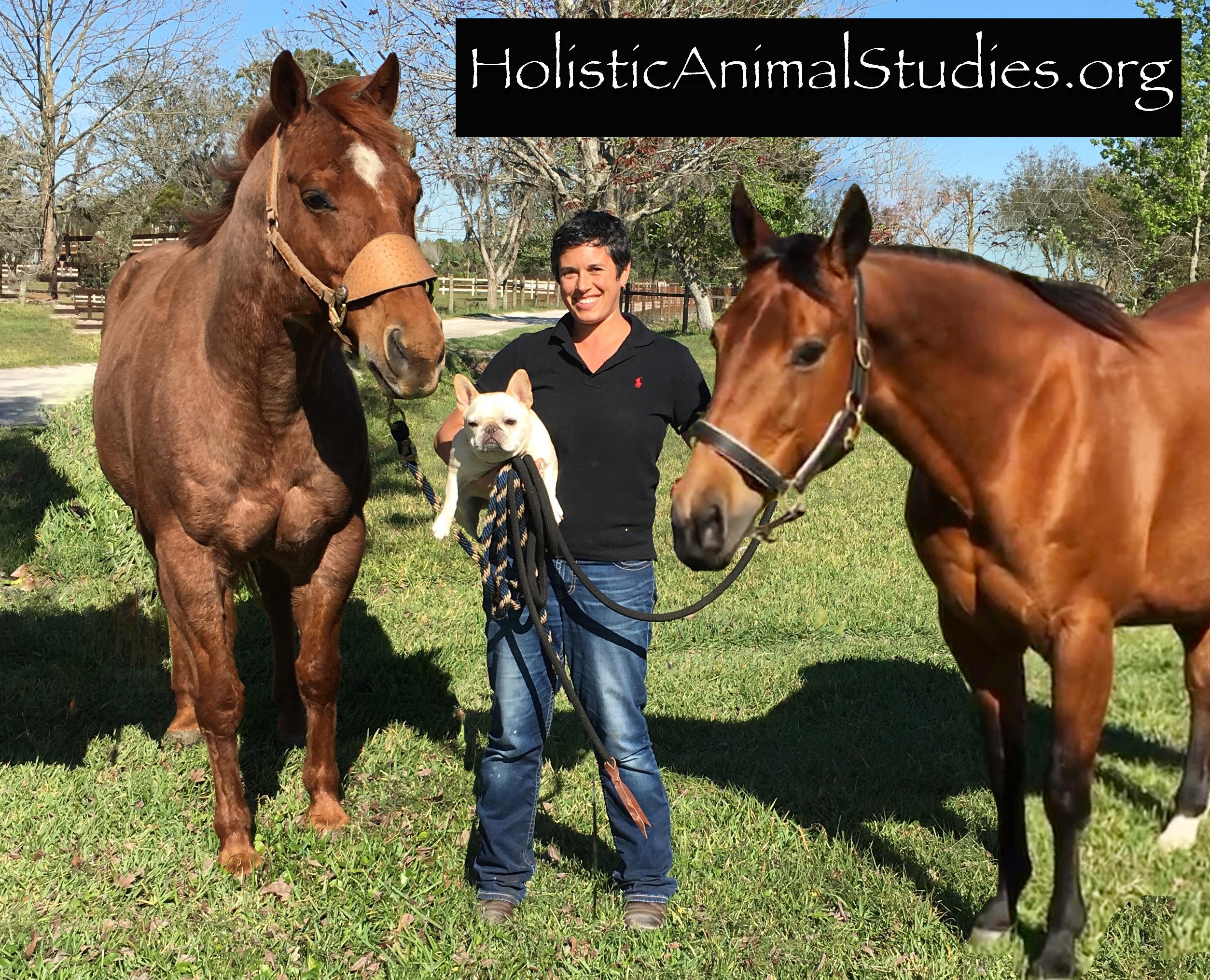 Holistic Animal Studies's Amazon Page