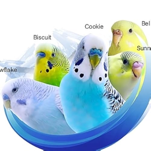 Alen AxP's Amazon Page