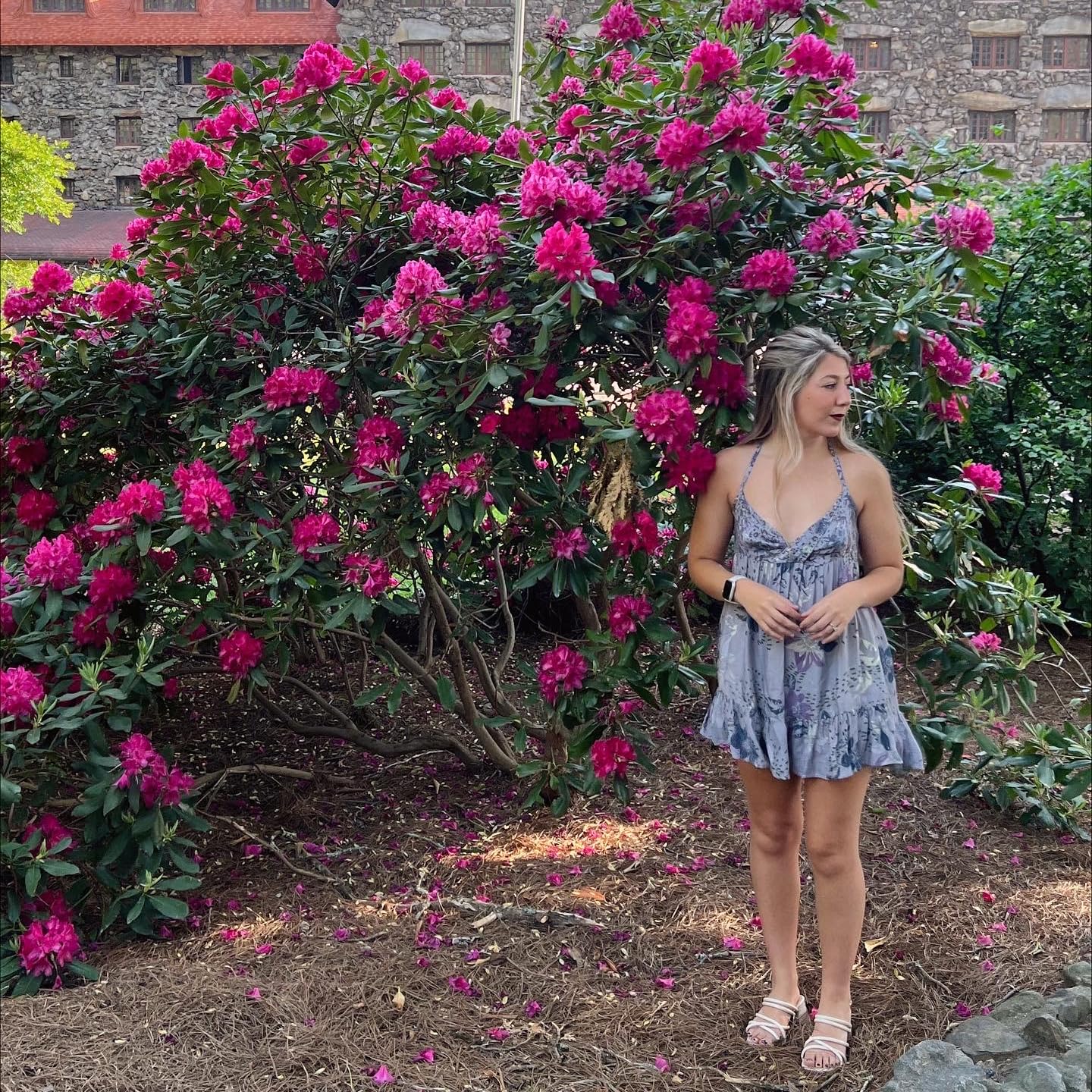 Allie Anderson's Amazon Page