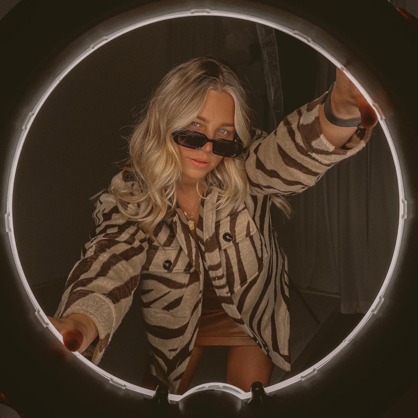 AP Moline's Amazon Page