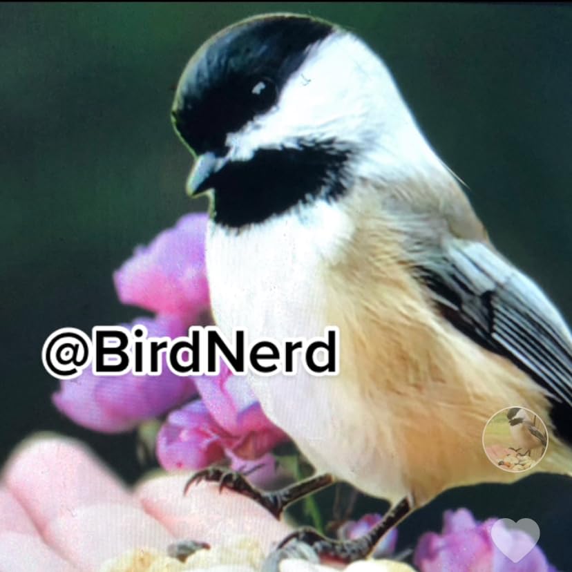 BirdNerd's Amazon Page