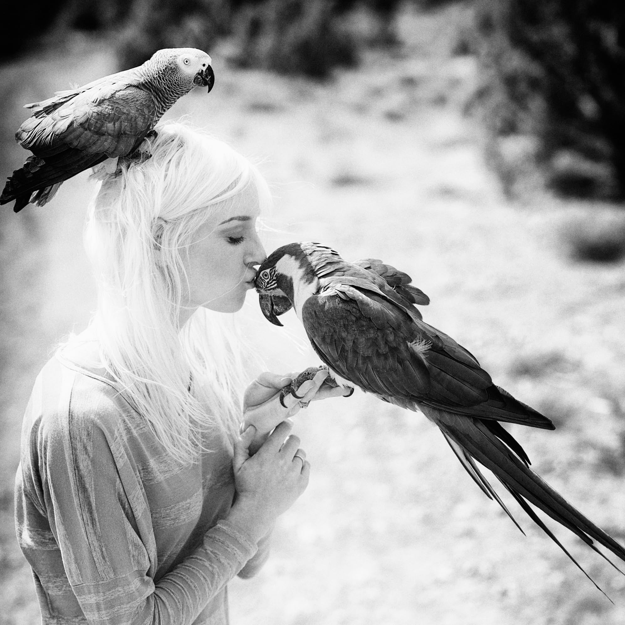 BirdTricks's Amazon Page