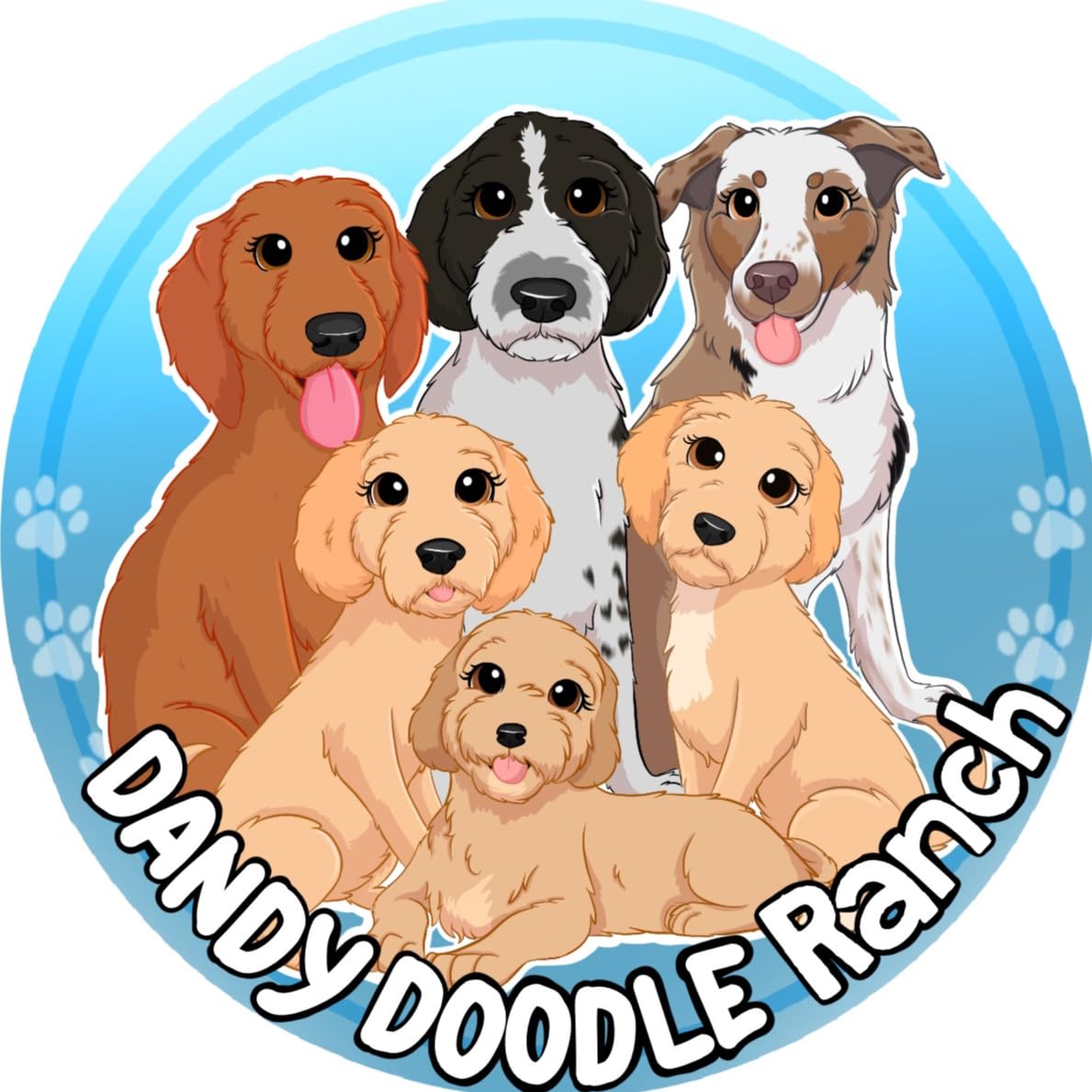 Dandy Doodle Ranch's Amazon Page