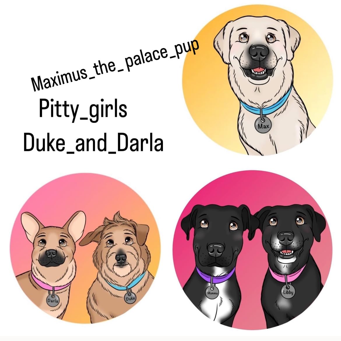 Duke,Darla,Maximus,Momma,Libby's Amazon Page