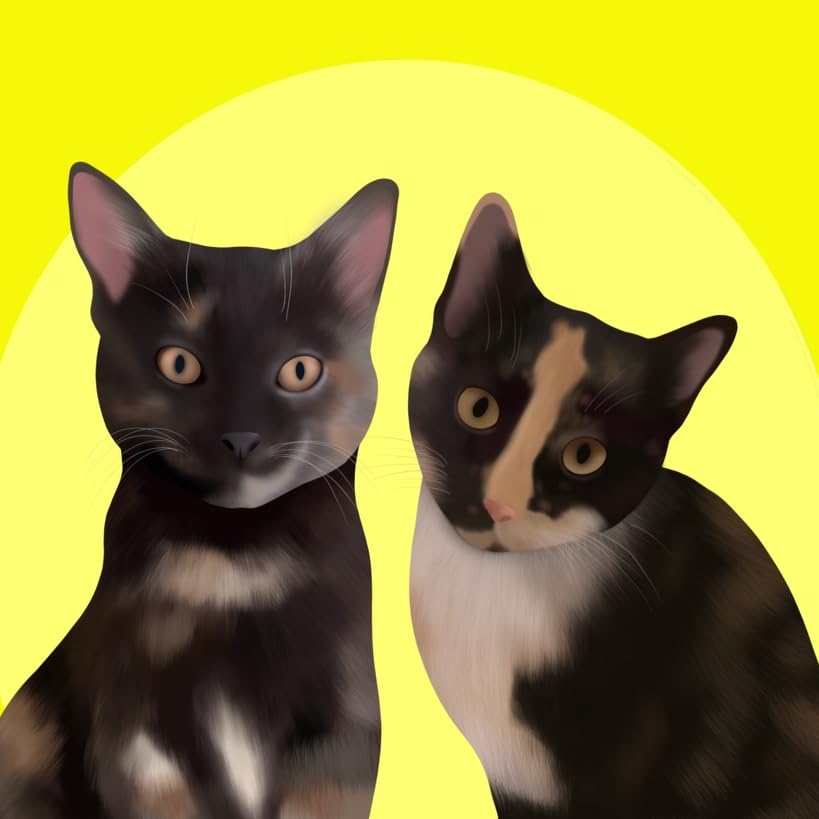 Eevie and Emmie's Amazon Page