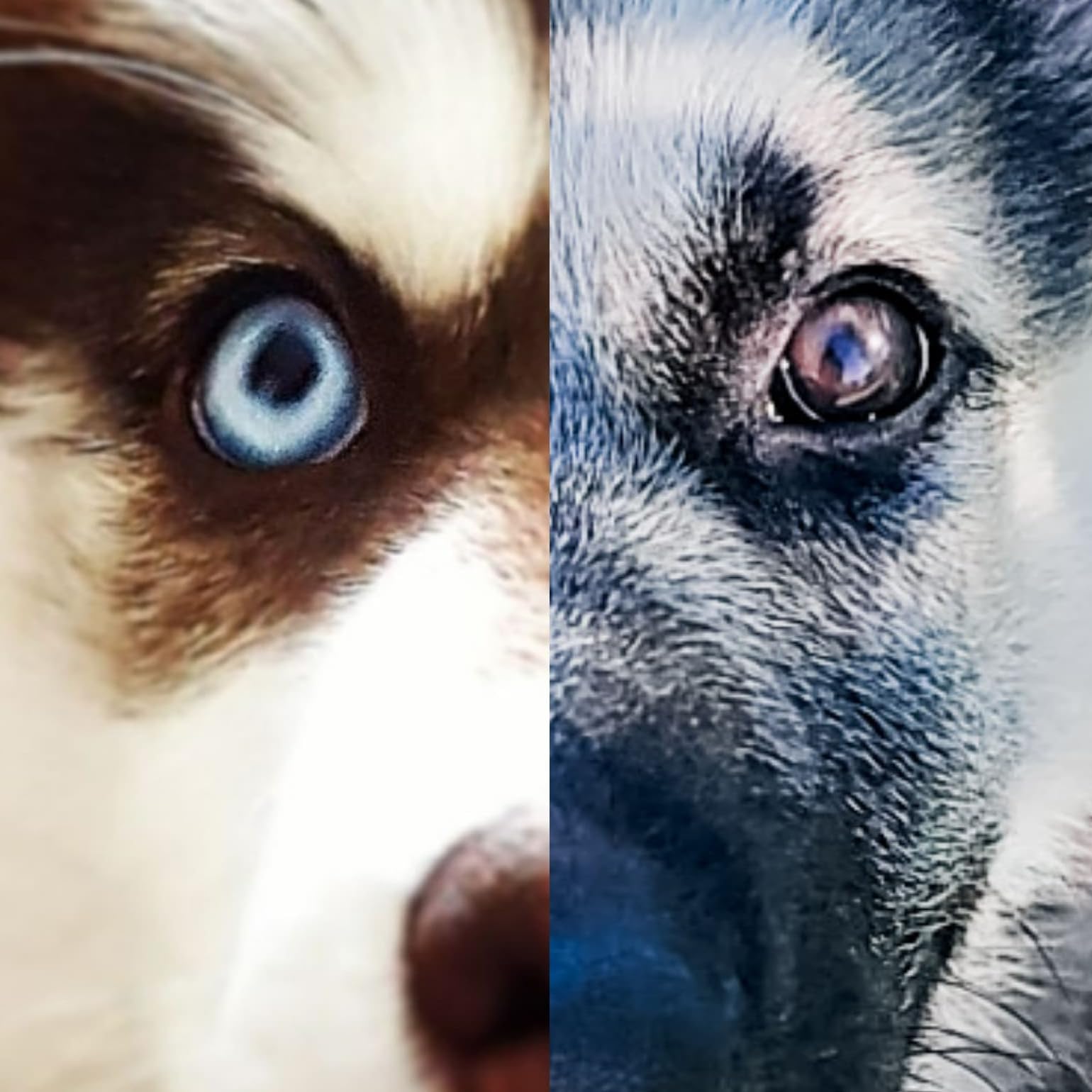 we.are.ember.and.ash's Amazon Page