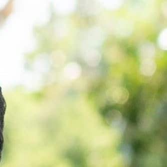 Naqibullah Sadat's Amazon Page