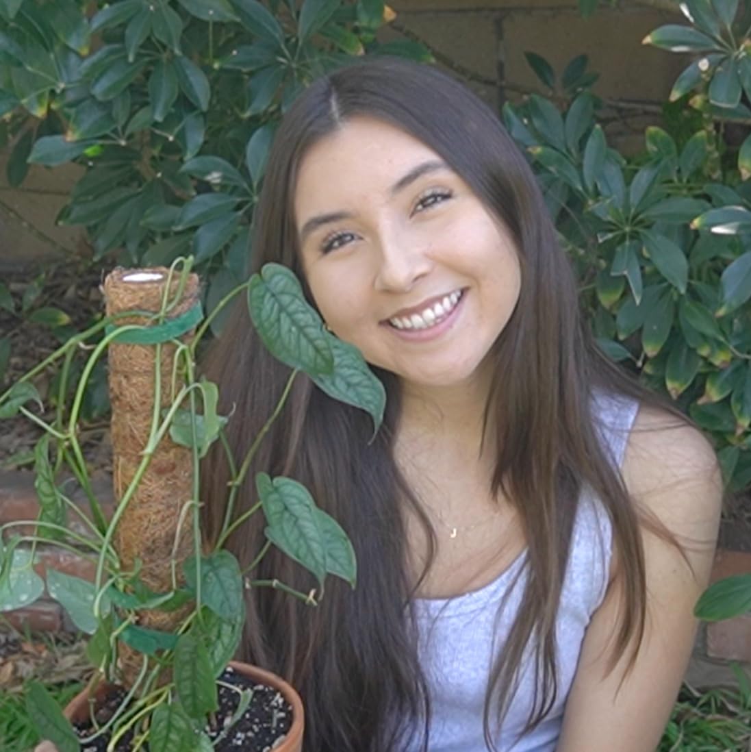 Erika Lodes's Amazon Page