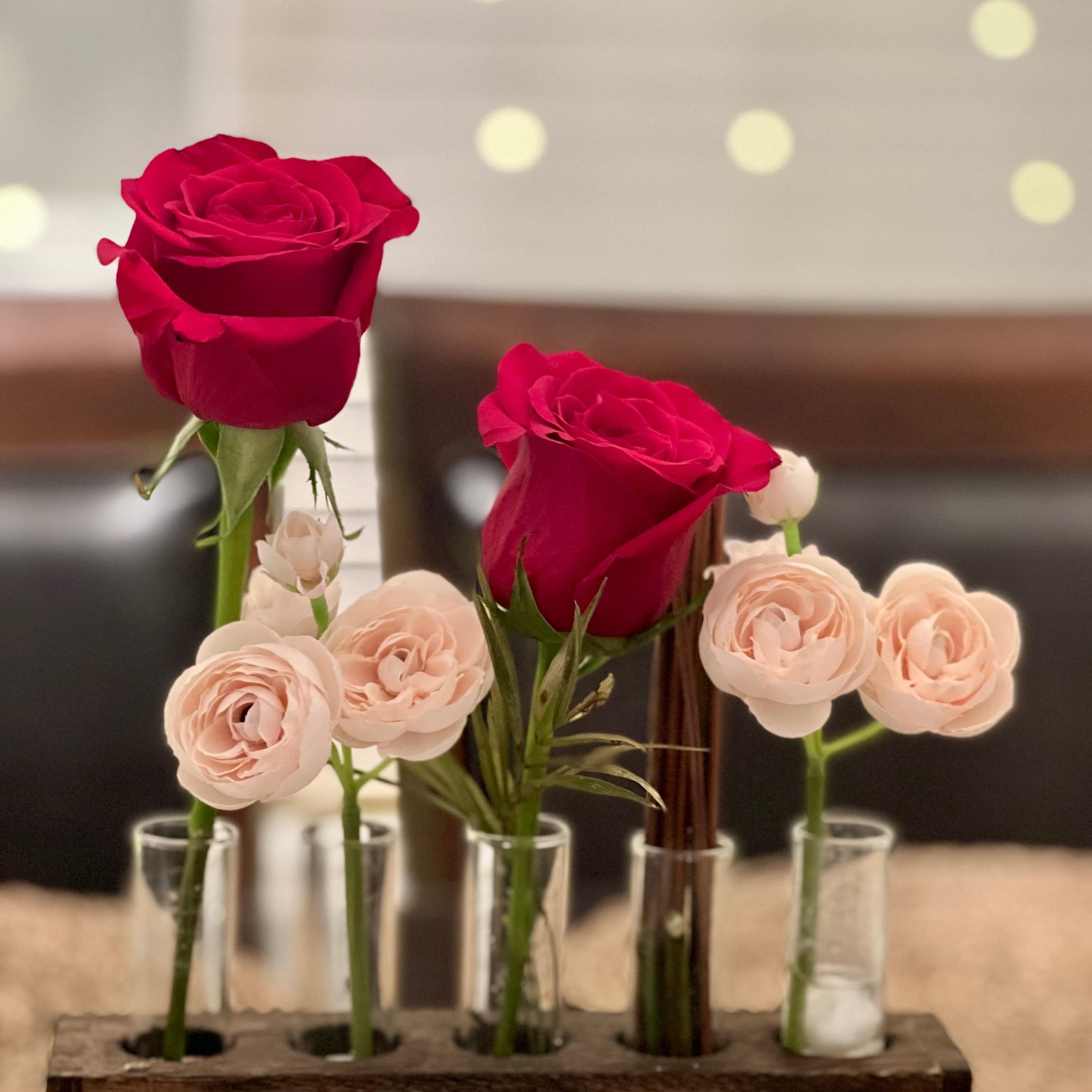 Preeti's Amazon Page