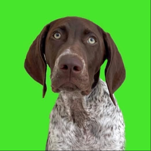 George the GSP's Amazon Page