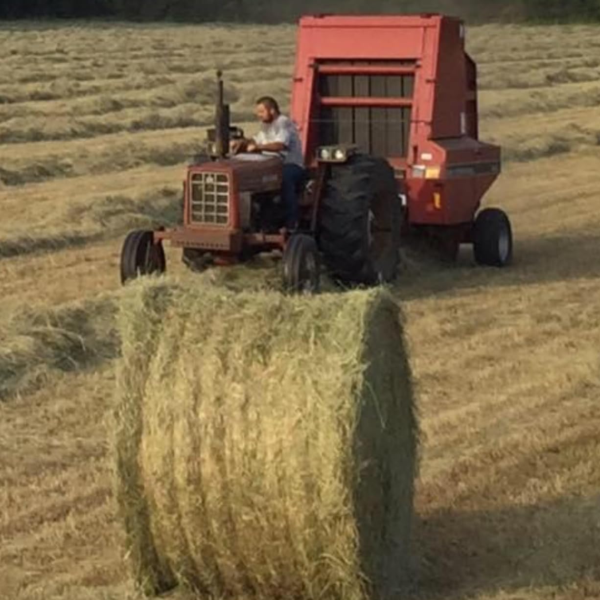 Gerrald Farms's Amazon Page