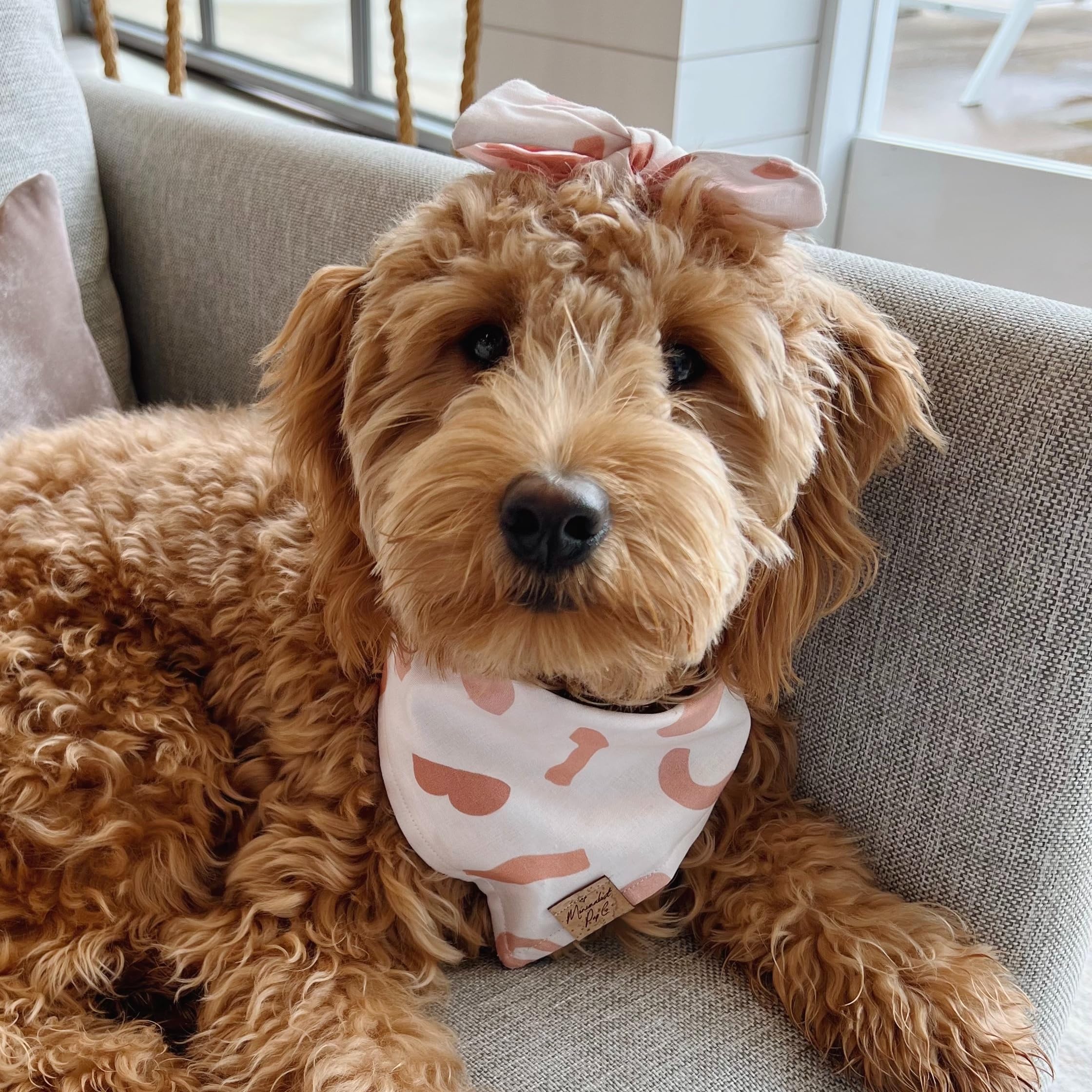 hellopepperdood's Amazon Page