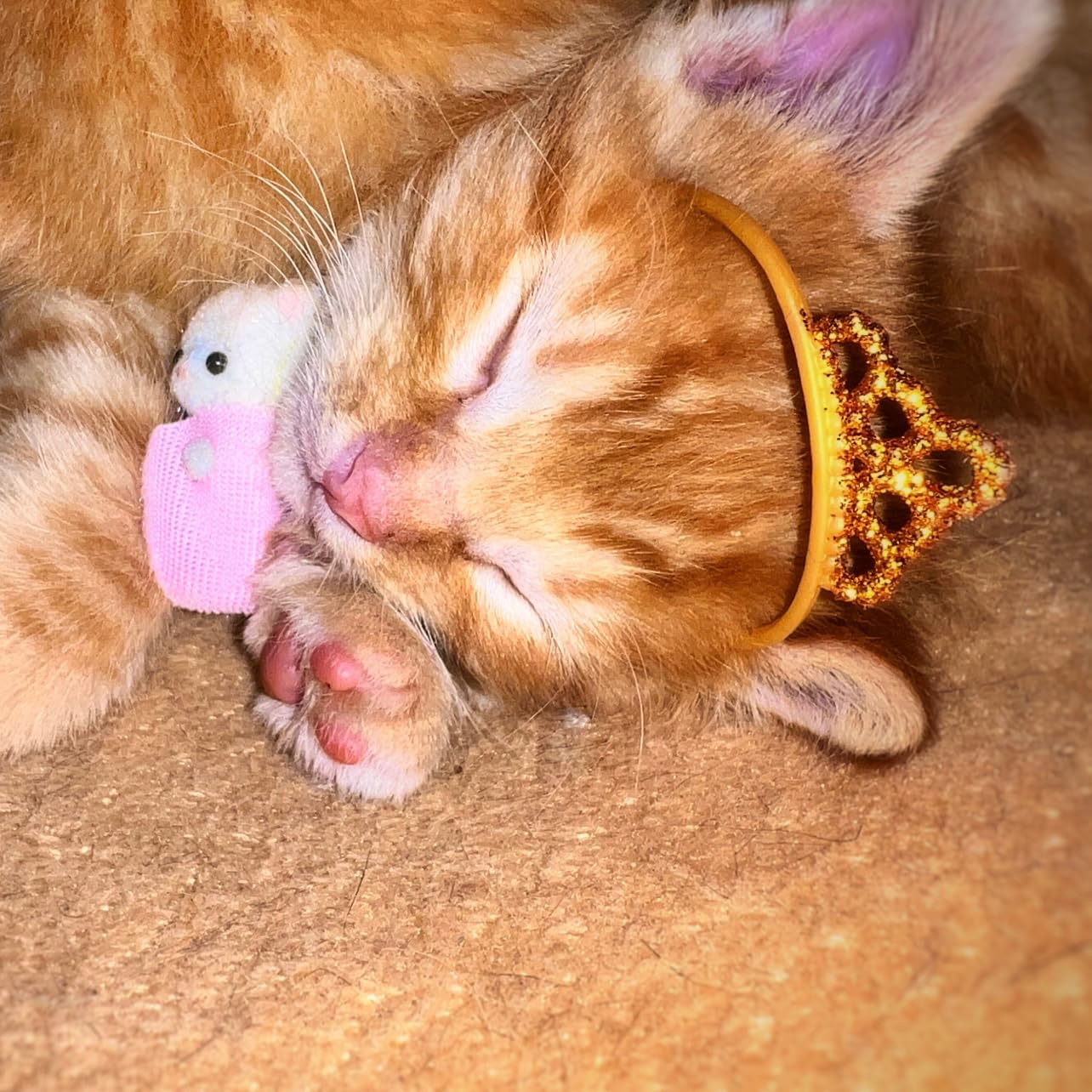 Heather's Amazon Page