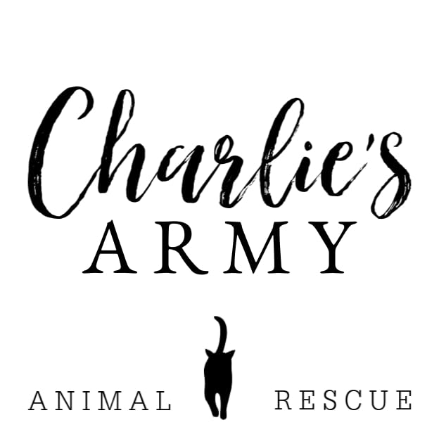 Charlie's Army's Amazon Page