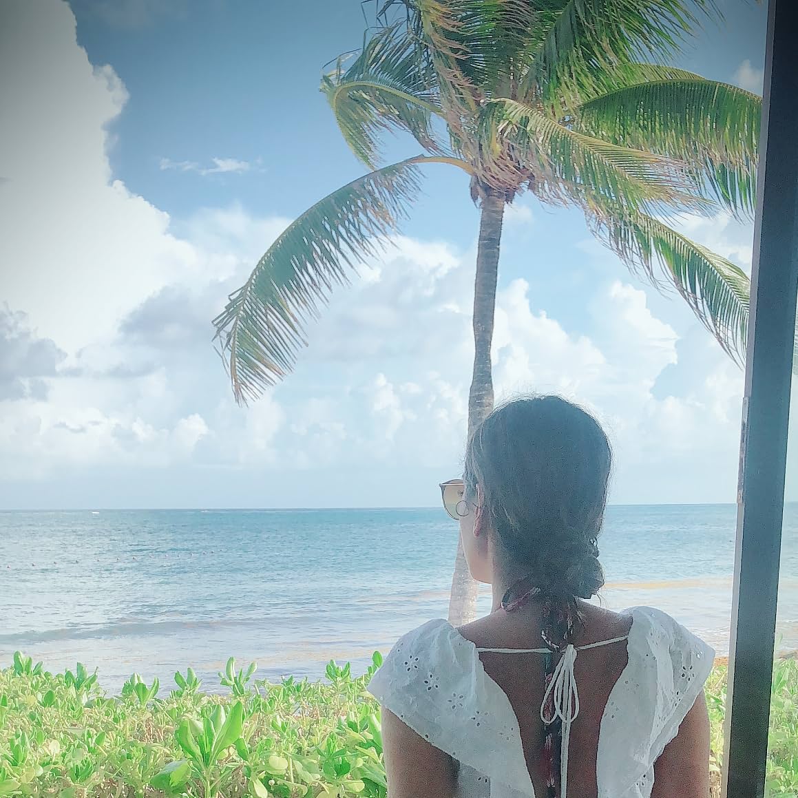 Sabz IQ's Amazon Page