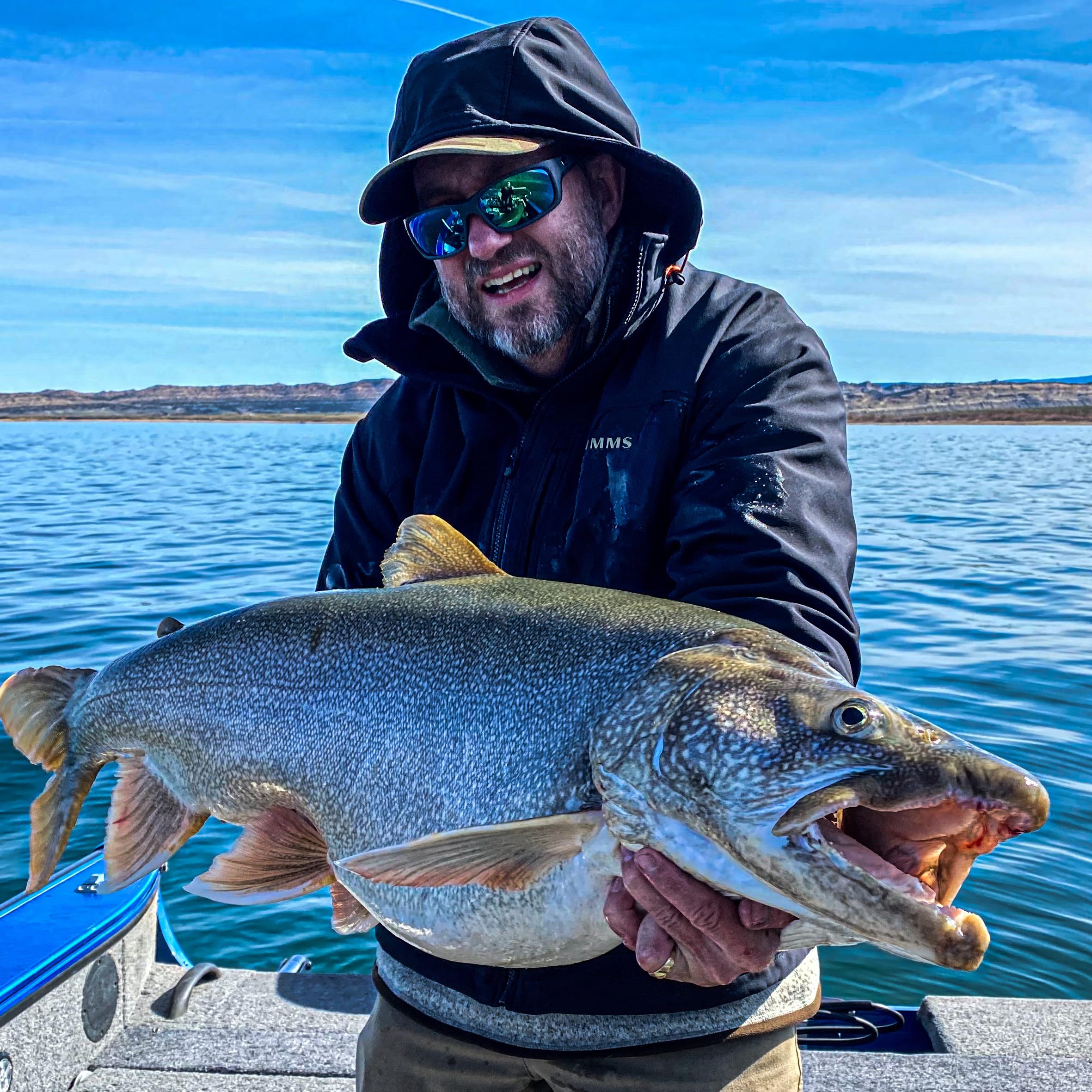 Steven Walls's Amazon Page