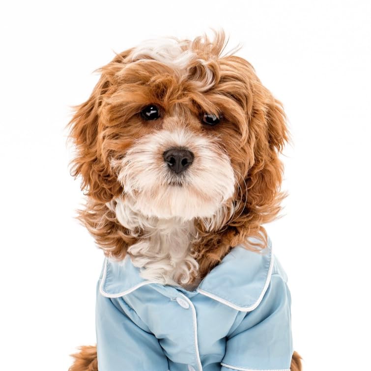 Poppins Puppies's Amazon Page