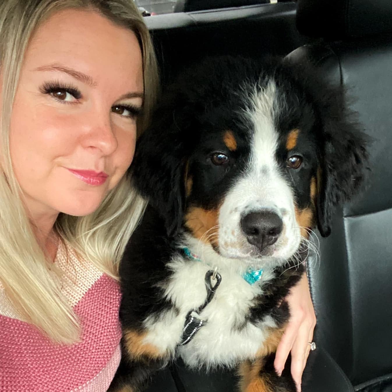 Stephanie and Hank Simons's Amazon Page