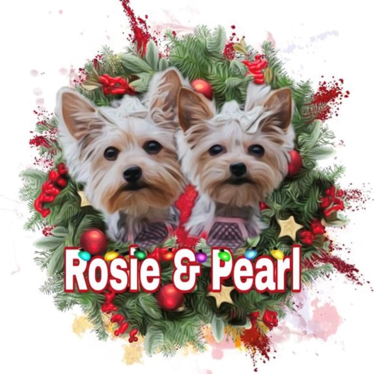 Real Yorkie Sisters of MN's Amazon Page