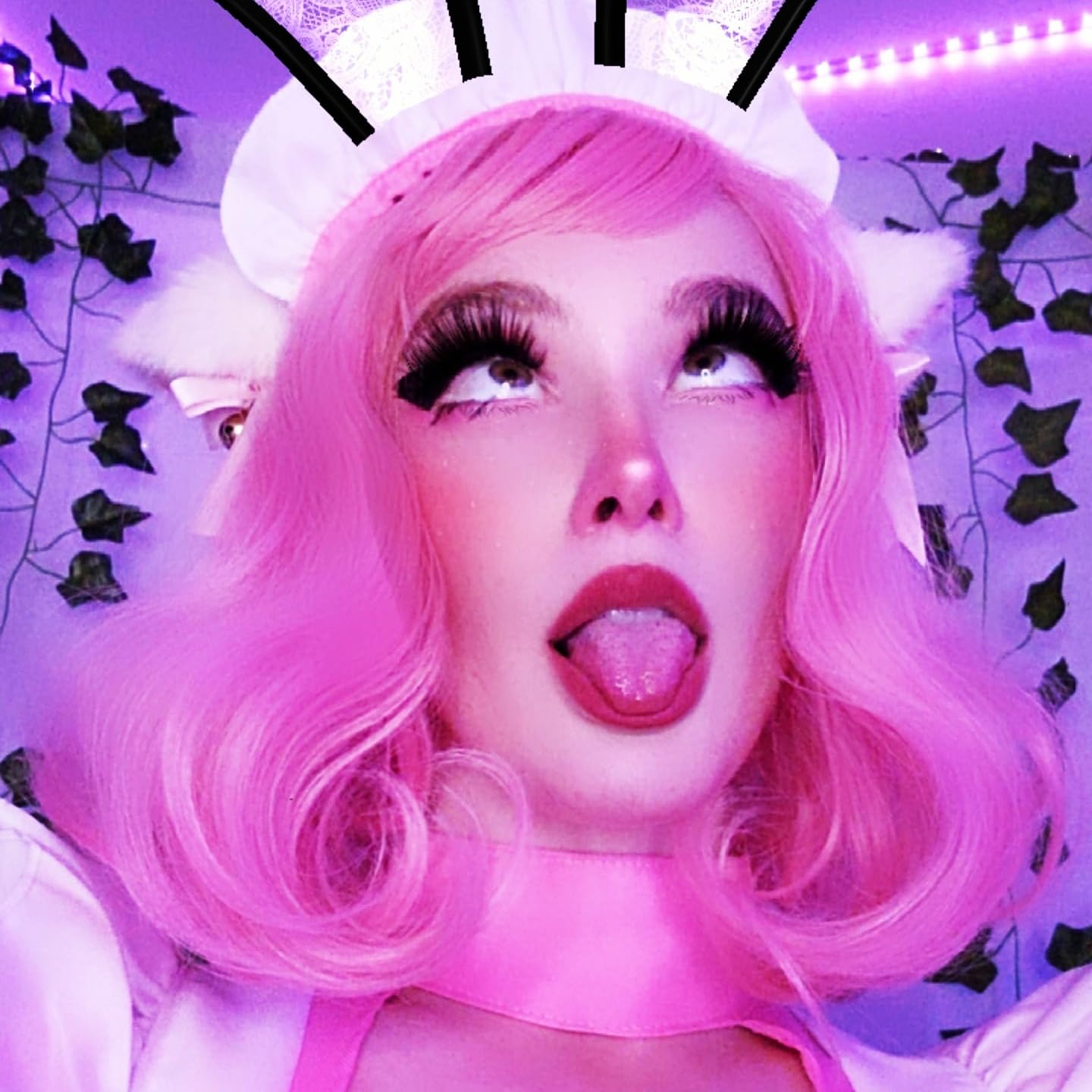 💕🌸 Alice Meow 🌸💕 's Amazon Page