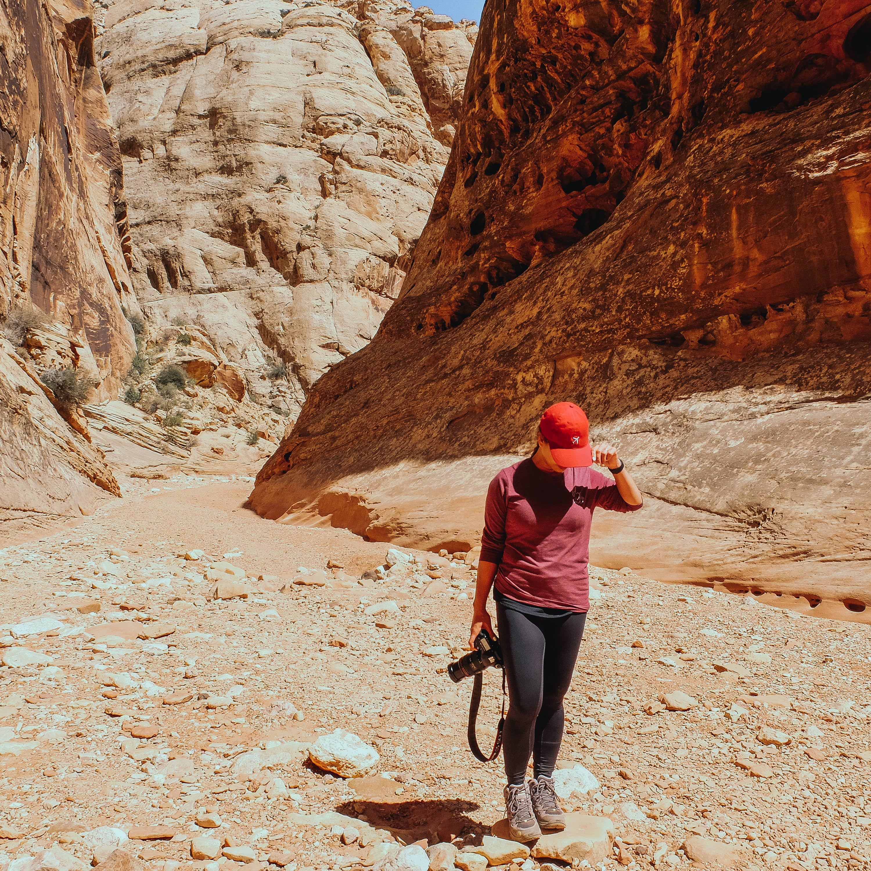 Gail Bowman Photography's Amazon Page